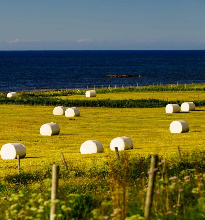 Chapter 2 | Systemiq