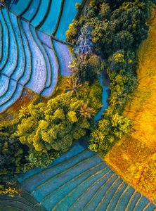 The Systemiq Way - What is SYSTEMIQ?