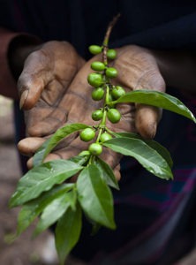 The Systemiq Way - What is SYSTEMIQ?