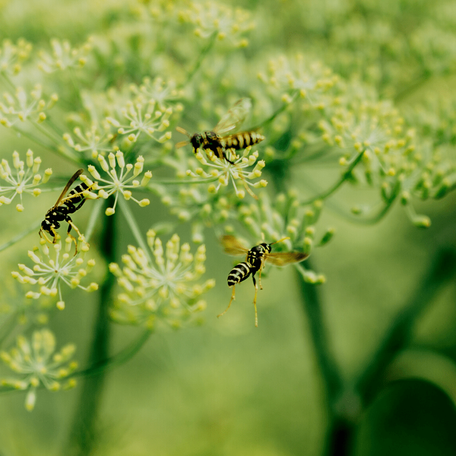 Nature Risk is Business Risk