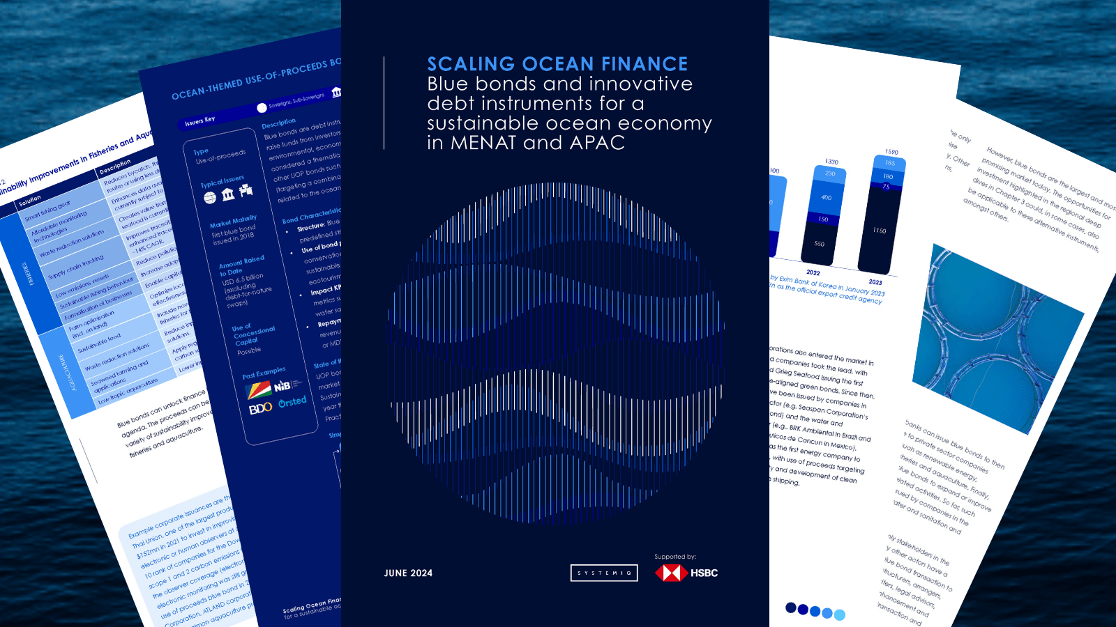 Blue Bonds: What is ocean finance, and why does it matter?