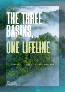 New report calls for urgent investment in the world’s rainforests